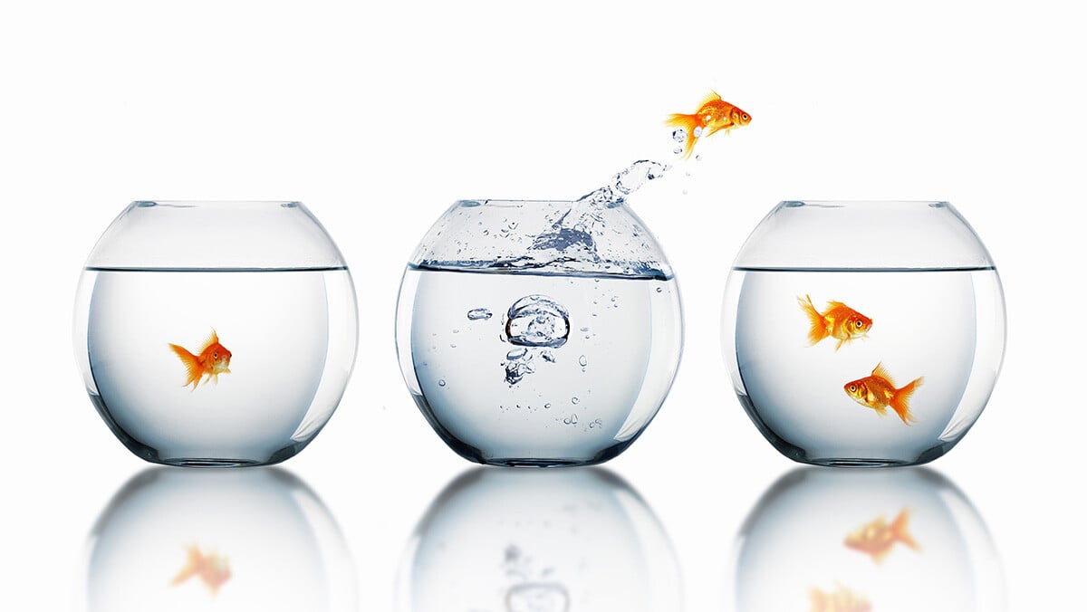 Services - Veritus Group